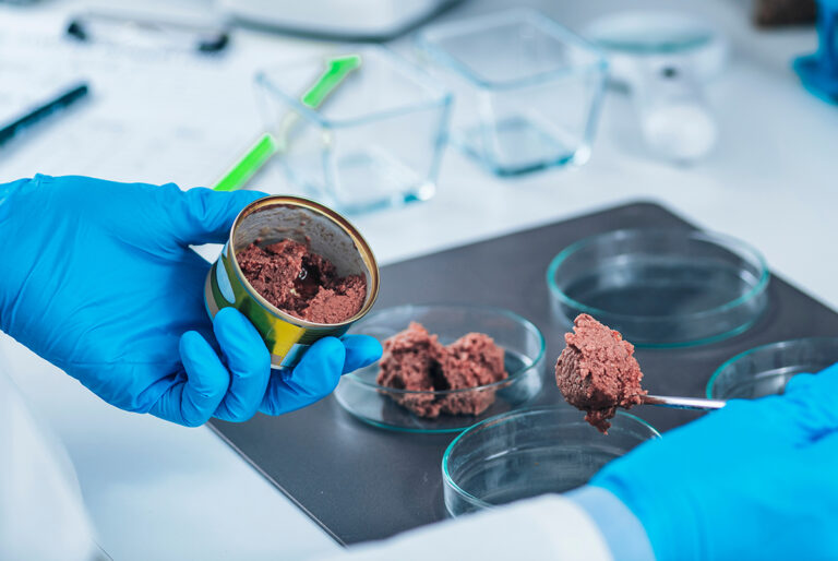 Understanding Food Microbiology Testing: What Every Food