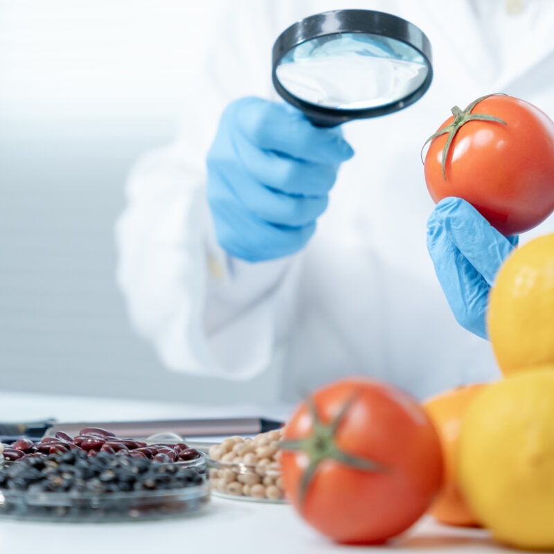 The Role of Microbiology in Food Spoilage- URS Labs